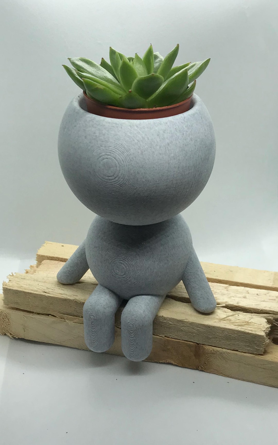 Wee Jimmy Succulent Planter Custom Airplant Holder - Ships From ...