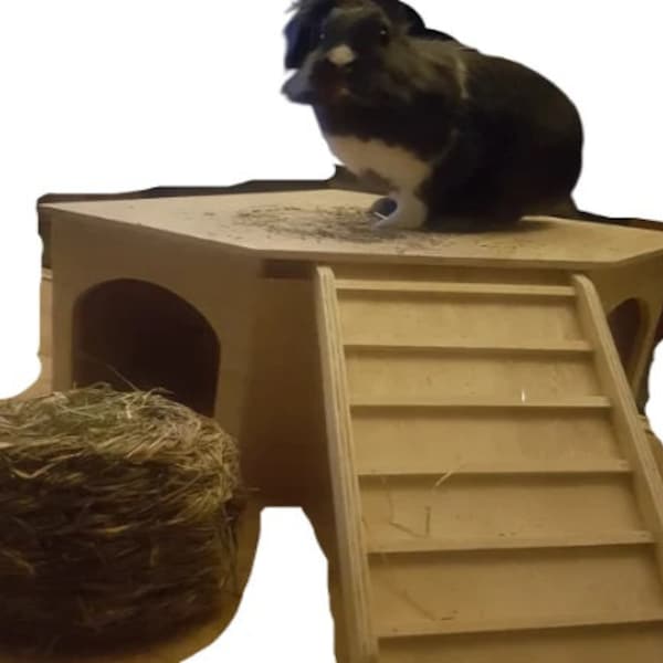 Rabbit Tunnel - Etsy