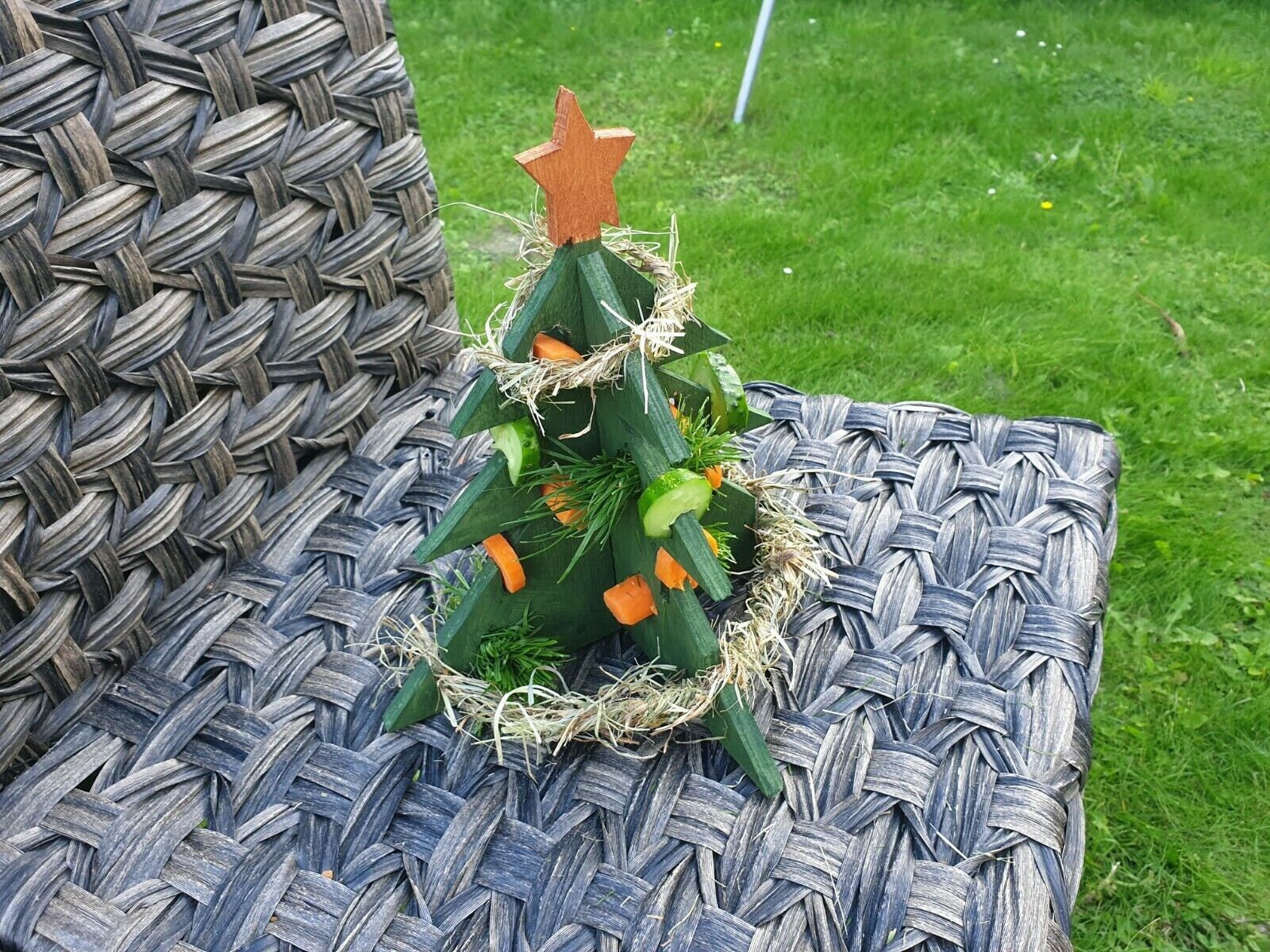 Christmas Tree Feeder Xmas gift Festive Small Animal rodent | Etsy