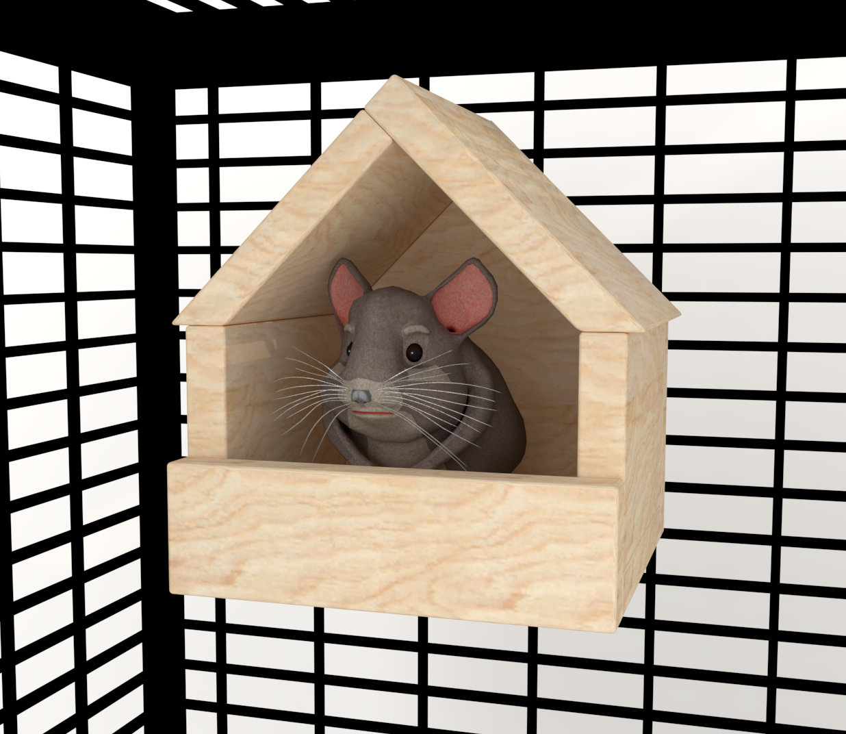 Chinchilla Hideaways
