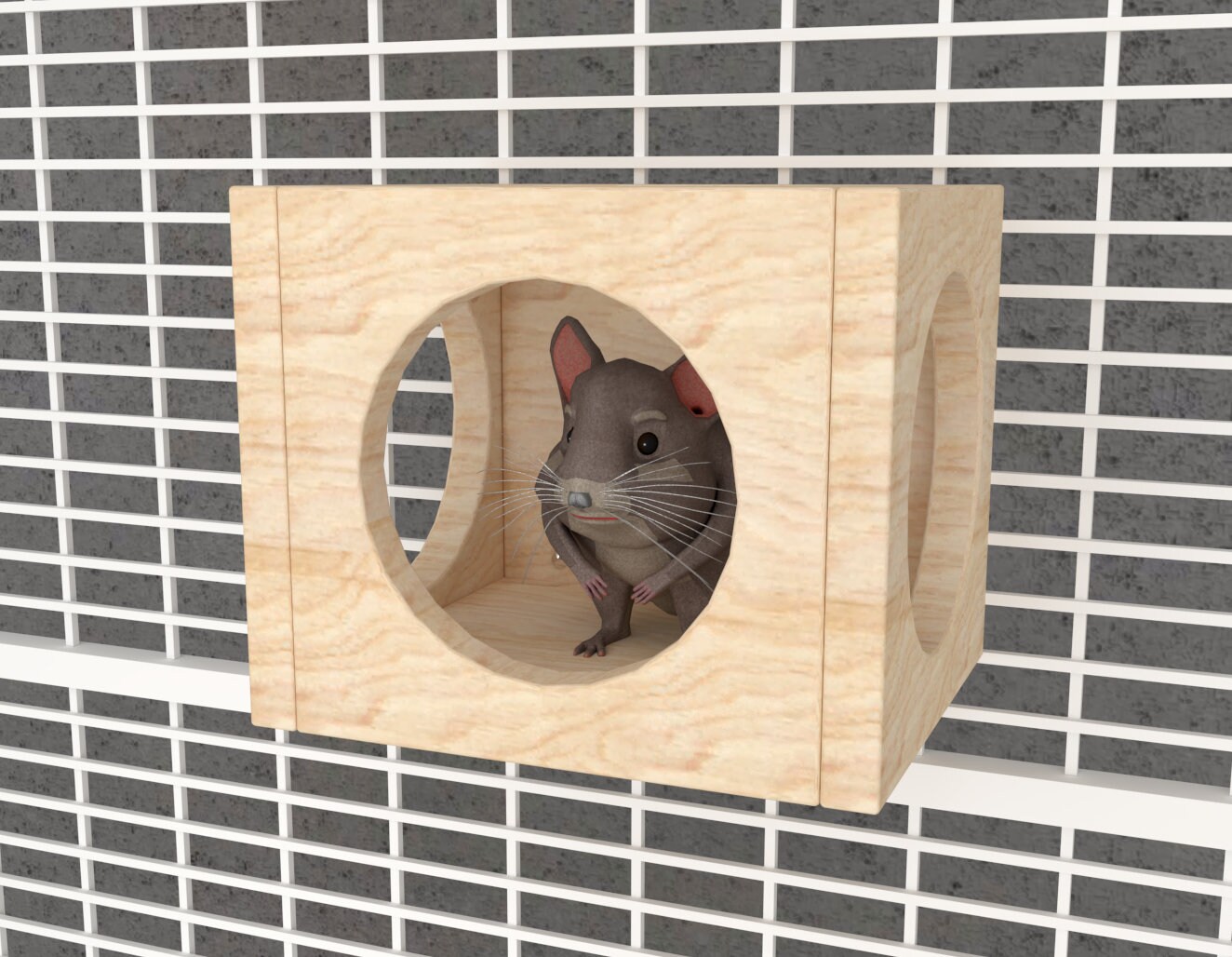 Chinchilla Hideaways