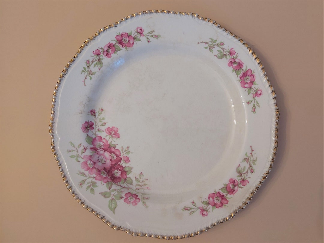 Woods Ivory Ware England Dinner Plate 153 Rare Floral Porcelain Plate ...