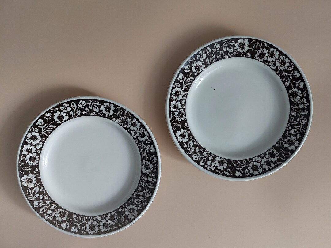 Set 2 Victoria Broadhurst Ironstone Plates 'vermont'; Vintage English ...