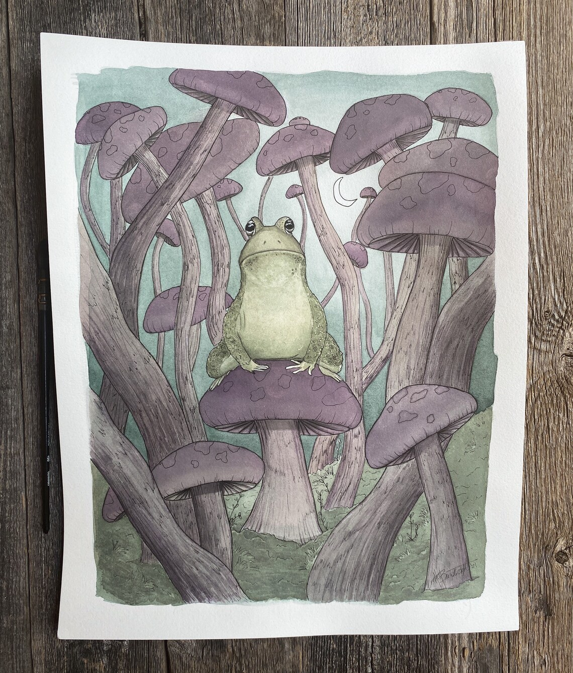Toad on a Toadstool Watercolor Print Fantasy Art Mushroom Painting Frog ...