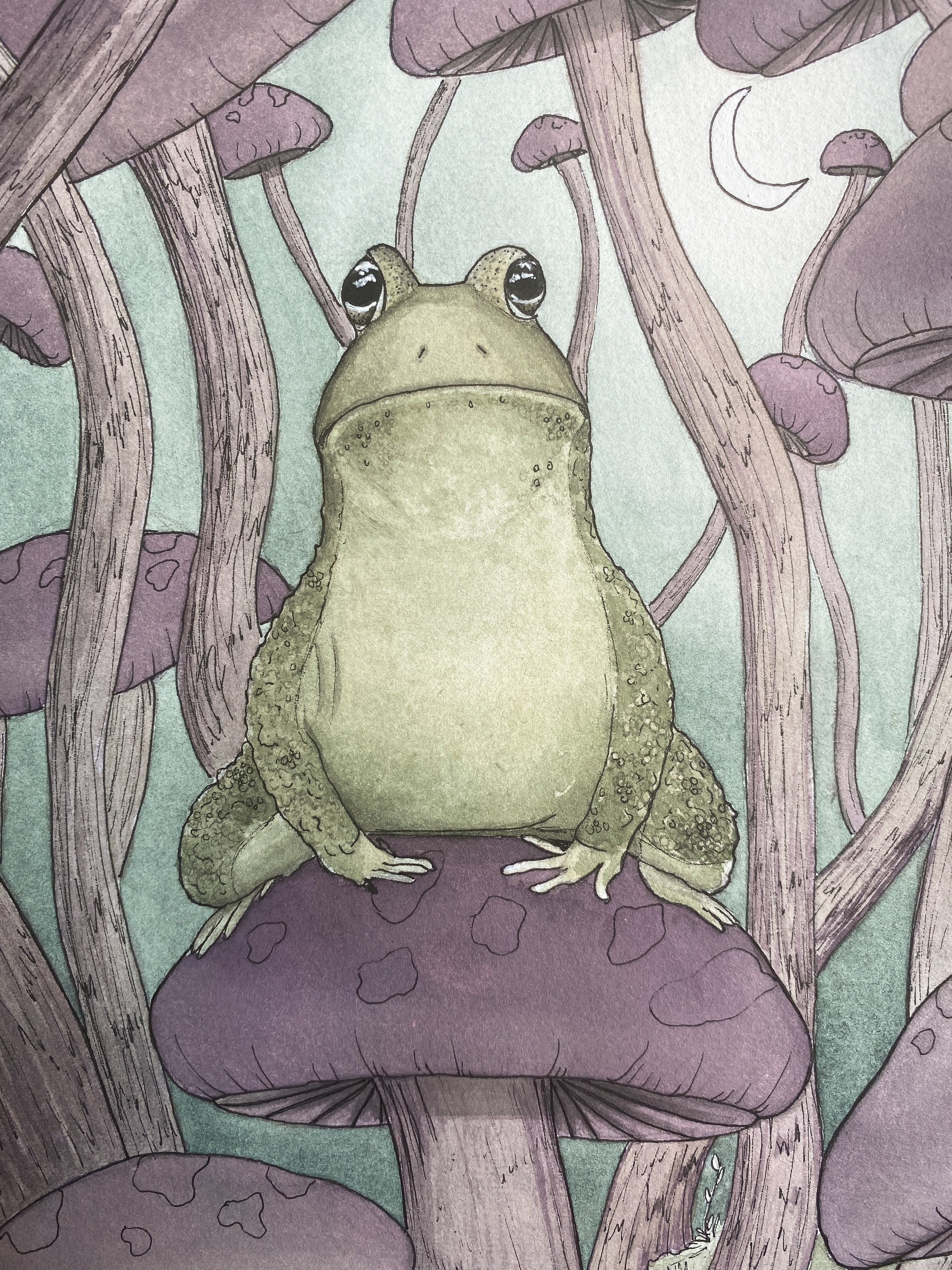 Toad on a Toadstool Watercolor Print Fantasy Art Mushroom Painting Frog ...