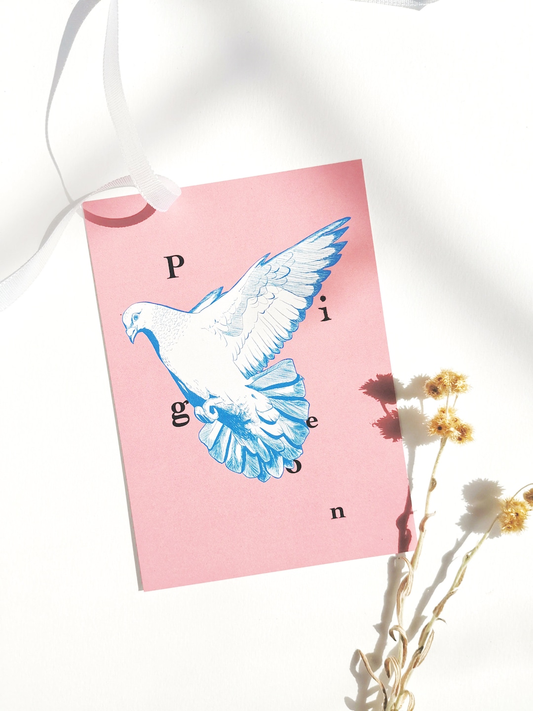 Birds of Paris Postcards - PIGEON - Bird, Blue Drawing on Pink ...