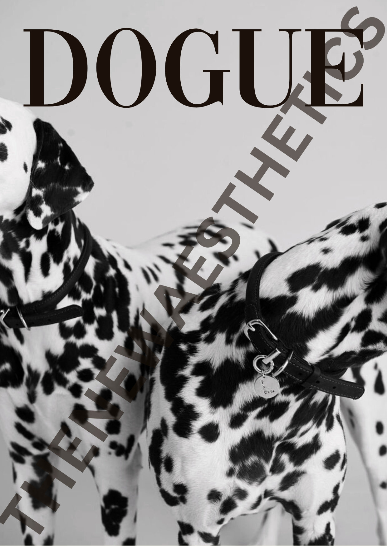DOGUE Dalmatian Dog Poster Print - Etsy
