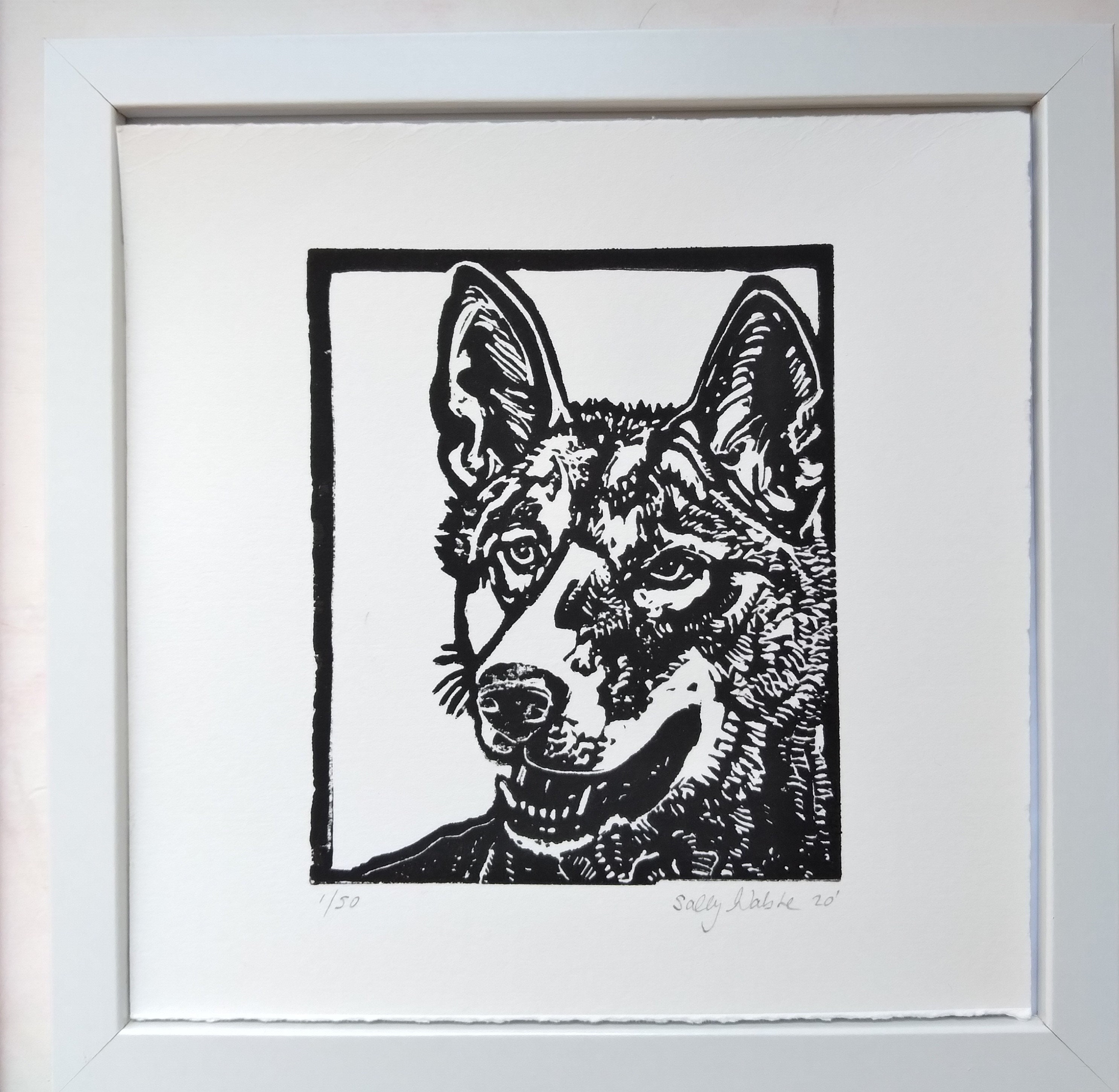 Dingo, Dog, Native Animal, Australian Animal, Wall Art, Original Art ...