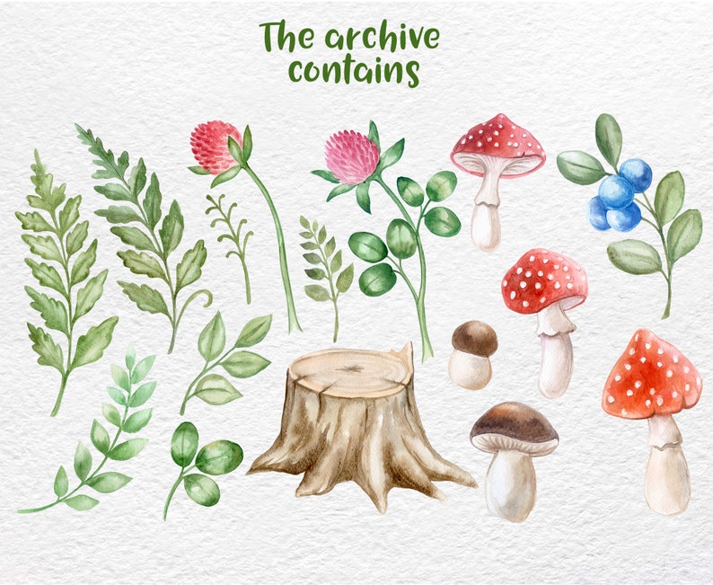 Woodland Forest Animals Clipart Watercolor Woodlands Clipart | Etsy