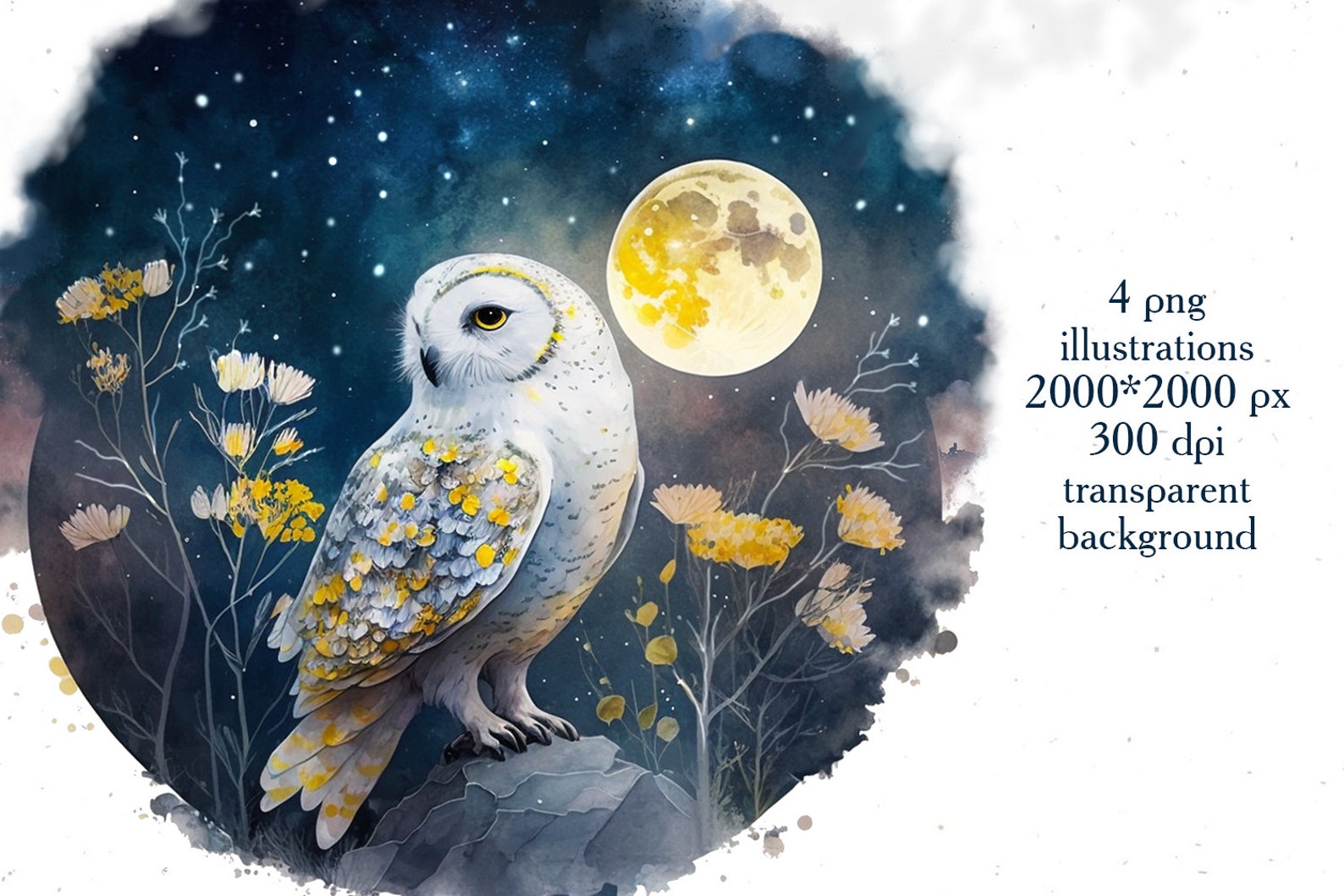 Celestial Owl Clipart Mystical Owls Owl Png Magic Clip Art - Etsy