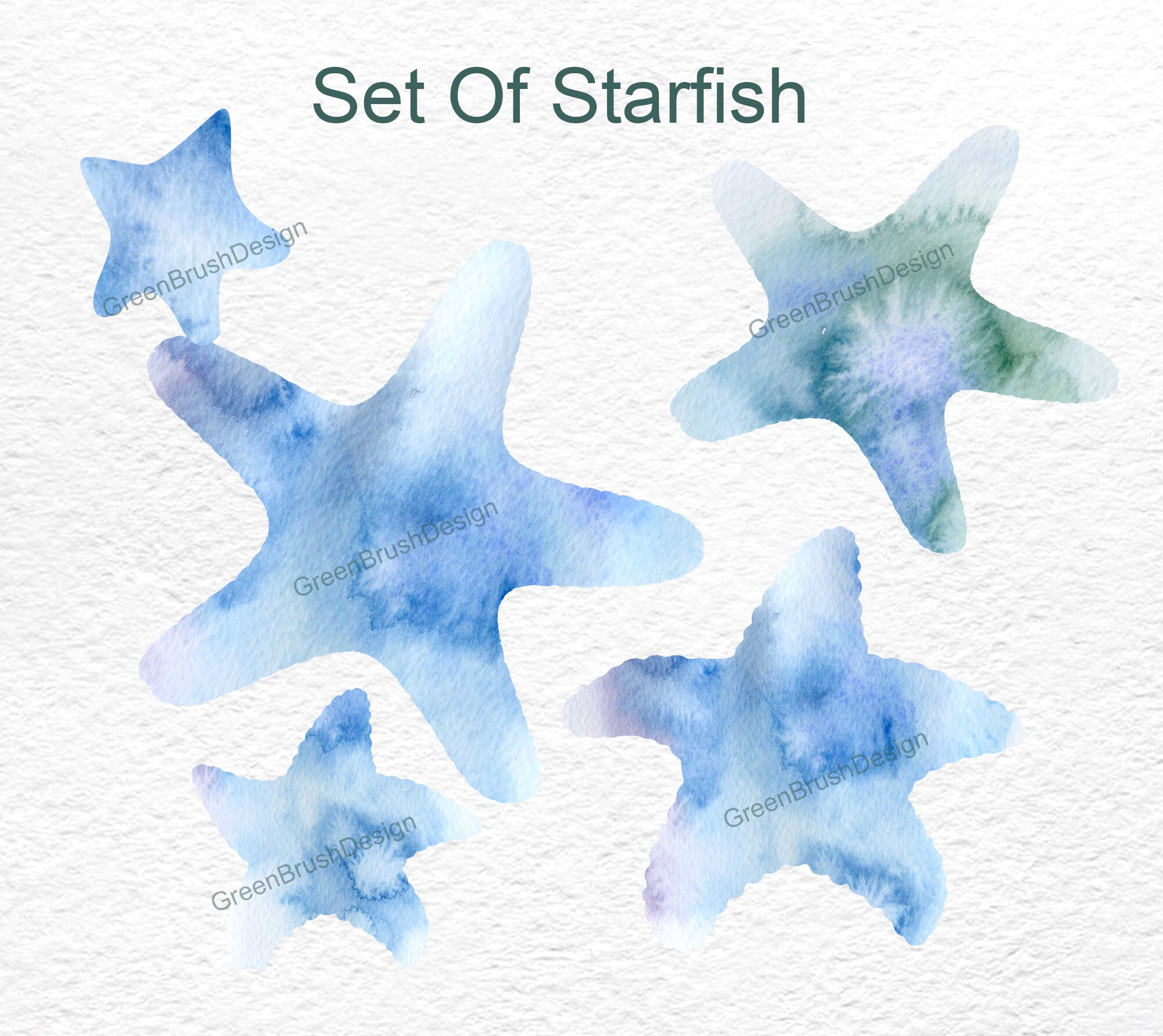 Dolphin. Watercolor Clipart Ocean Life Set of Watercolor - Etsy Canada