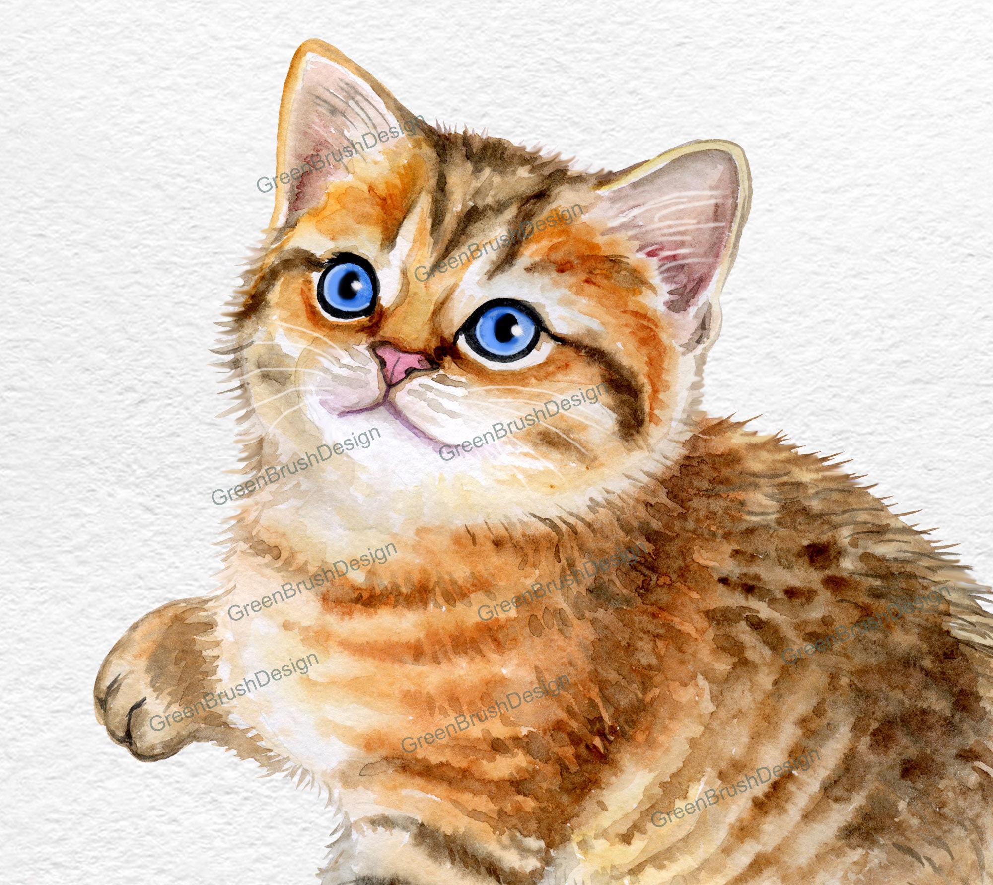 Kittens Clipart Cute Cats Watercolor Clip Art Kitten Cat - Etsy
