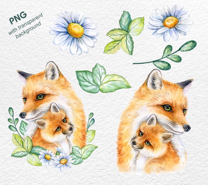 Foxes Baby and Mum Fox Family Clipart Baby Animal PNG | Etsy