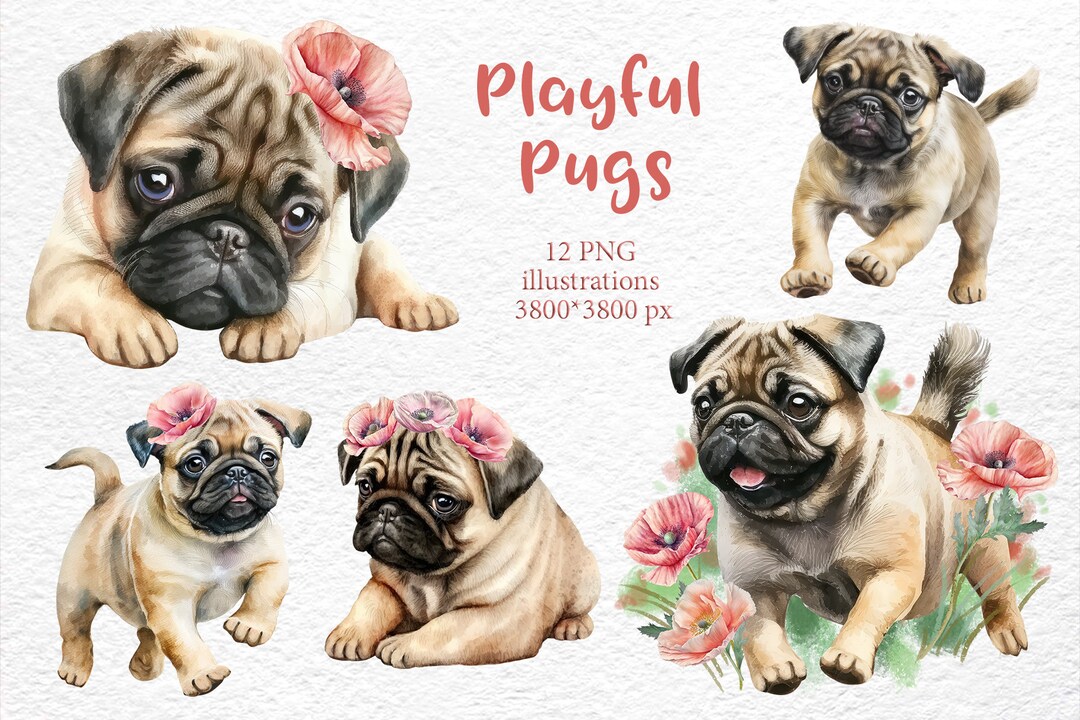Watercolor Pugs Clipart Png Digital Download, Vintage Pug Illustrations ...