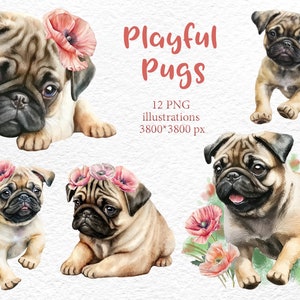 Watercolor Pugs Clipart Png Digital Download, Vintage Pug Illustrations ...