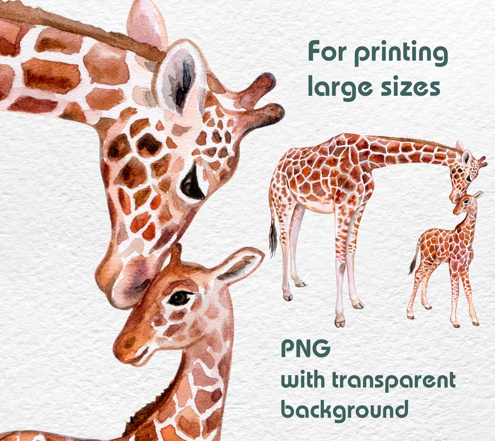 Giraffe Mom and Baby African Animals Watercolor Illustration. - Etsy