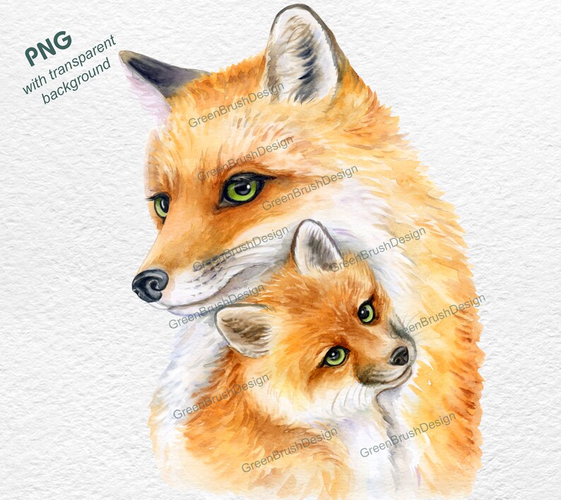 Foxes Baby and Mum Fox Family Clipart Baby Animal PNG - Etsy