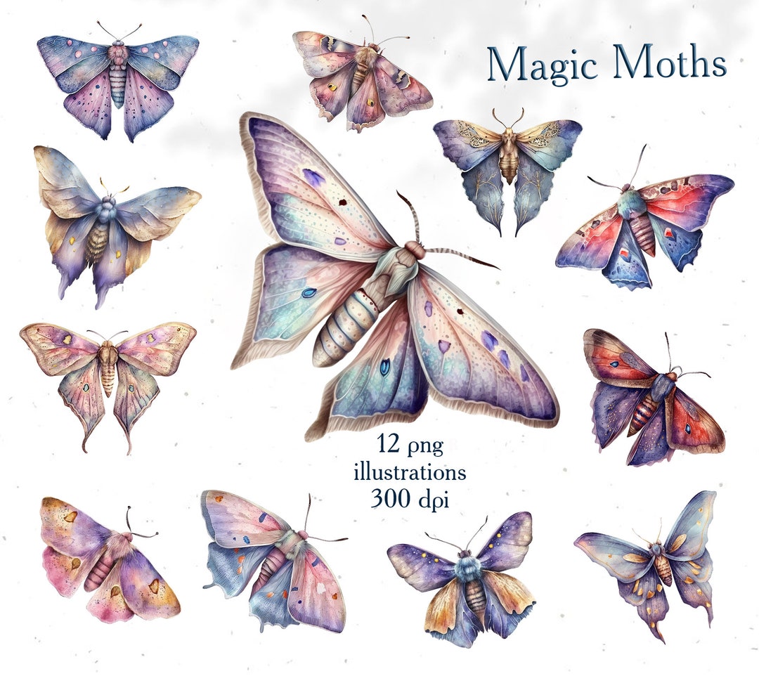 Mystical Watercolor Moth Clipart Moth Png Mystical Clipart - Etsy