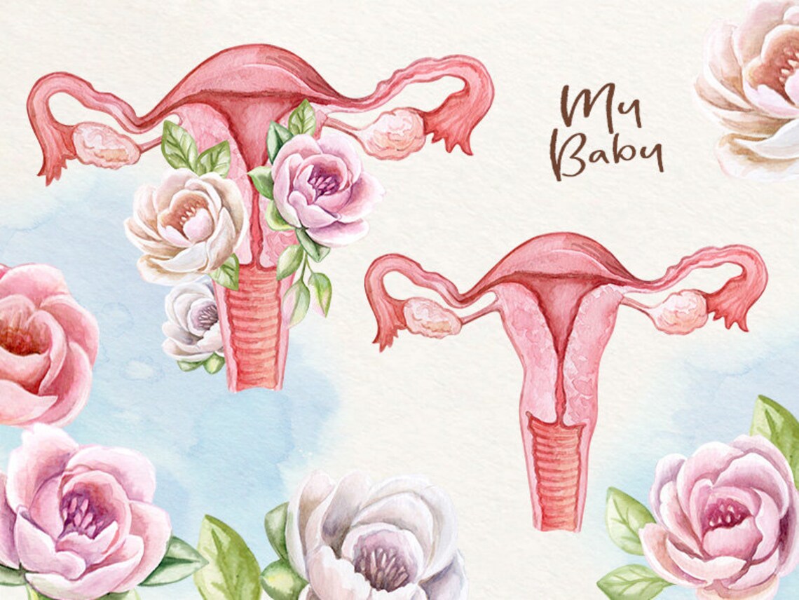 Fetus Watercolor Newborn Baby Clipart Placenta Flowers Art - Etsy