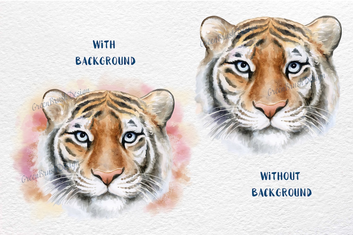 Tiger Face Clipart WATERCOLOR CLIPART Watercolor Clipart - Etsy