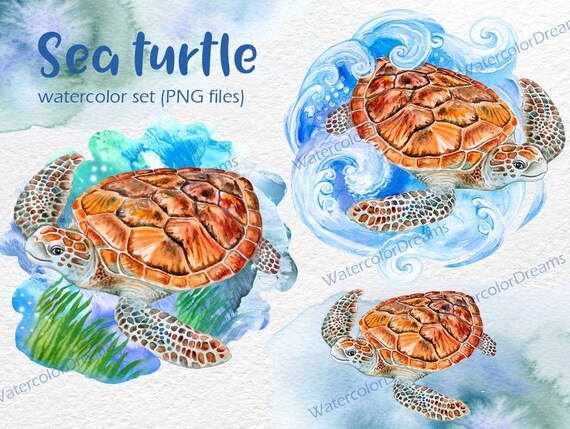 Sea turtle. Under the sea watercolor clipart underwater | Etsy