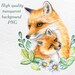 Foxes Baby and Mum Fox Family Clipart Baby Animal PNG - Etsy