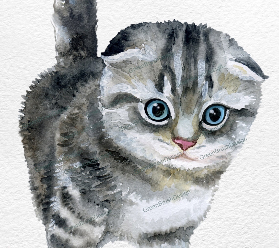 Kittens Clipart Cute Cats Watercolor Clip Art Kitten Cat - Etsy