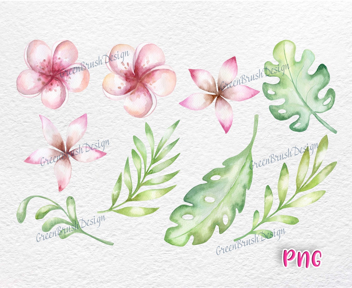 Cute Little Monkey Clipart Set. Jungle Clip Art African - Etsy