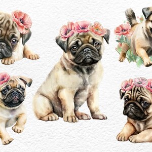 Watercolor Pugs Clipart Png Digital Download, Vintage Pug Illustrations ...