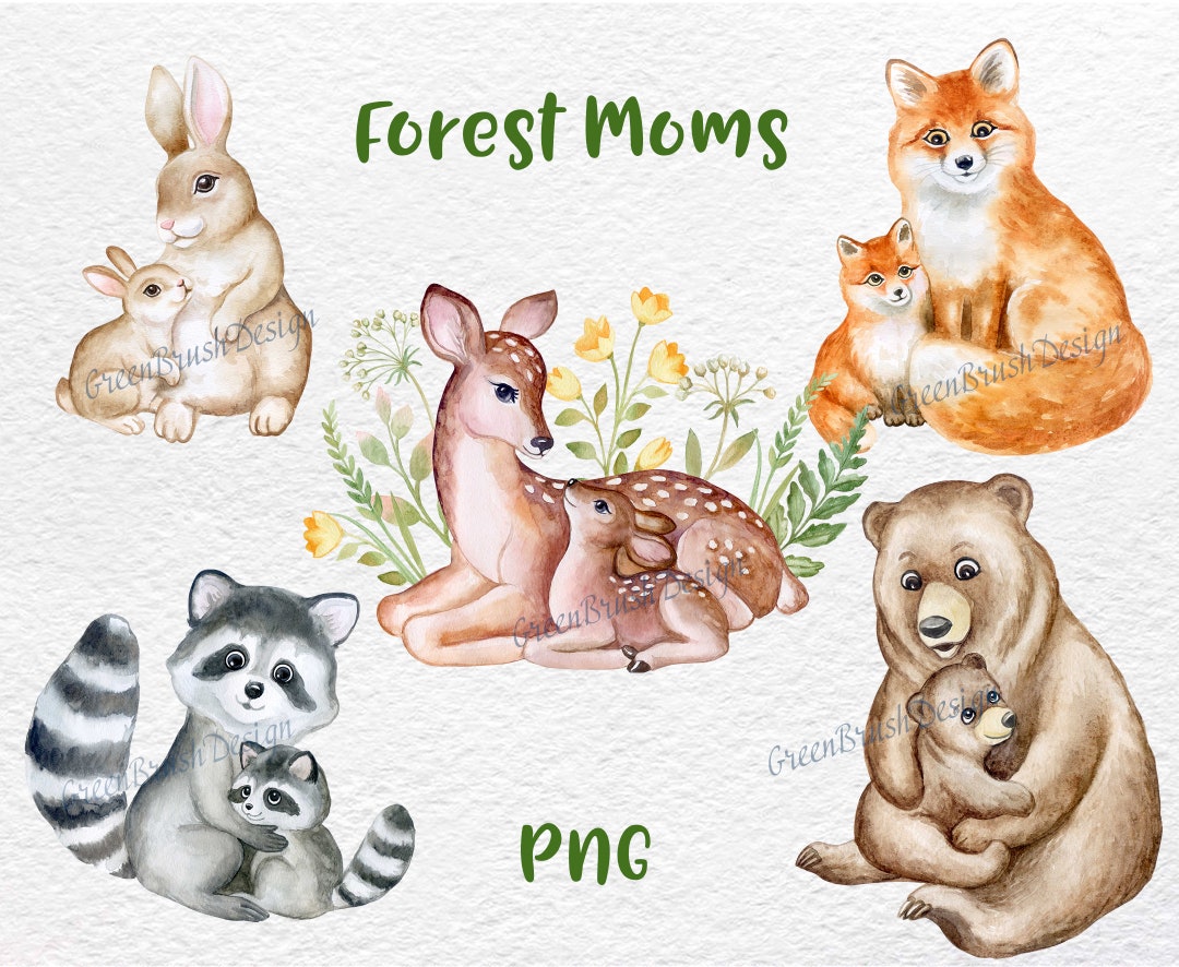 Woodland Forest Animals Clipart, Watercolor Woodlands Clipart ...