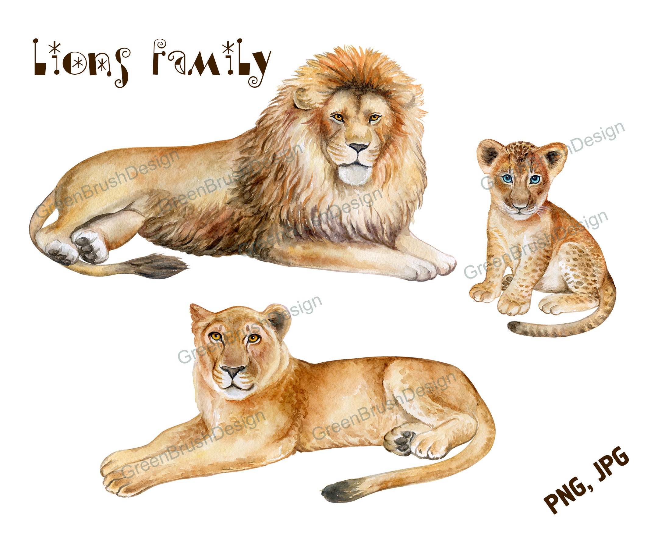 Lion Family Drawing