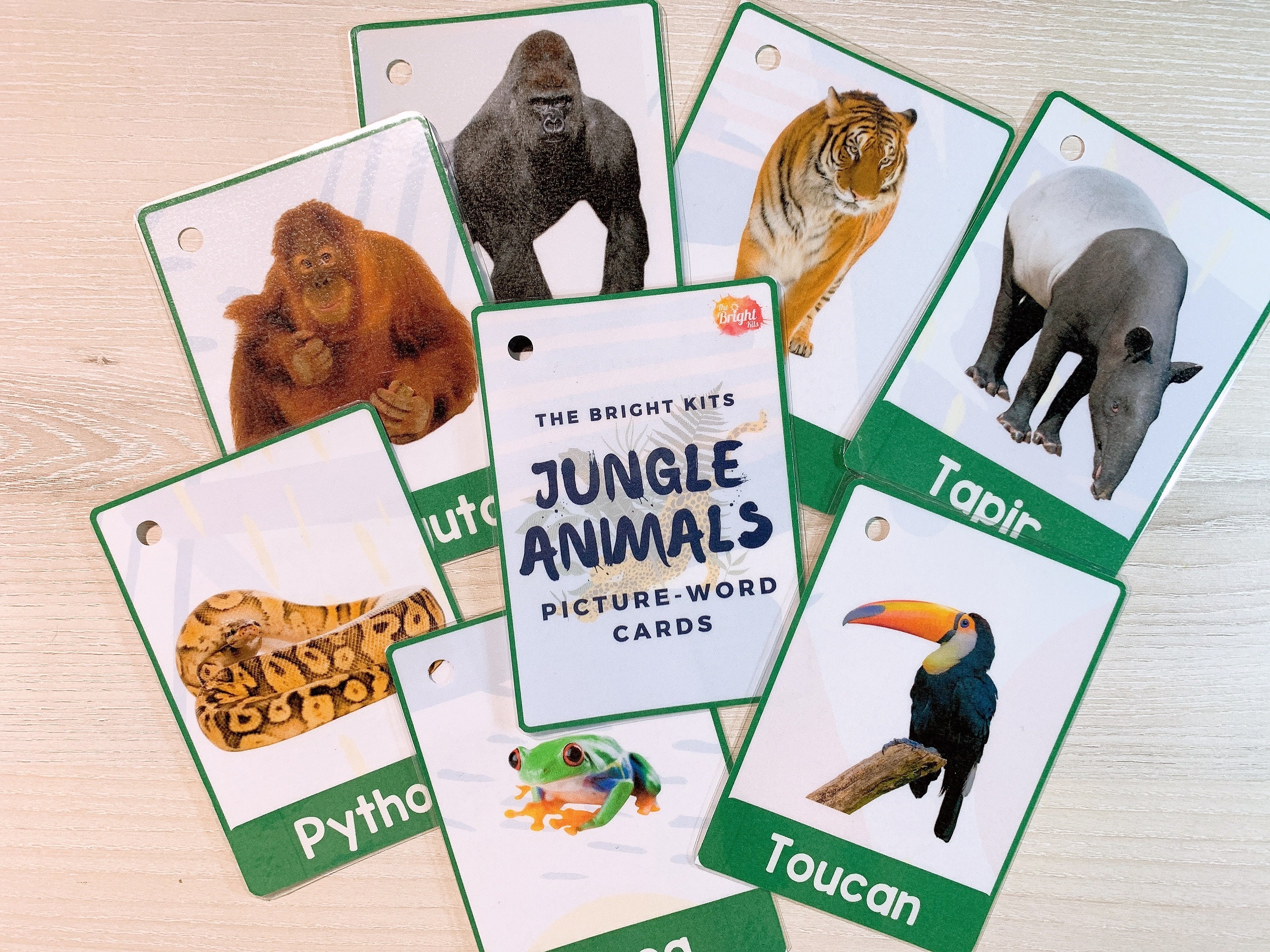 Animal Printable Picture-word Cards Set (48 Cards) | Animal Habitat ...