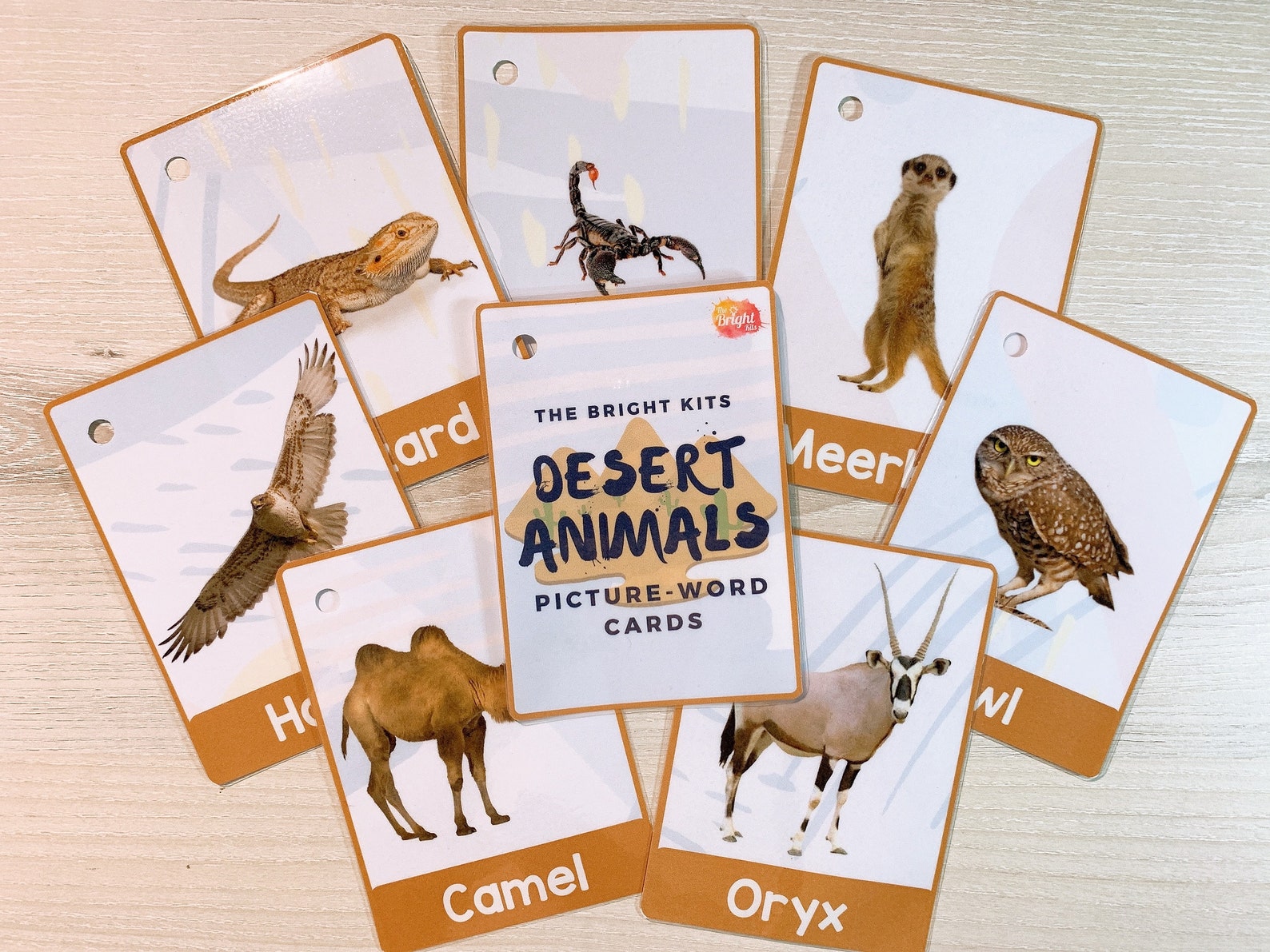Animal Printable Picture-word Cards Set 48 Cards Animal Habitat ...