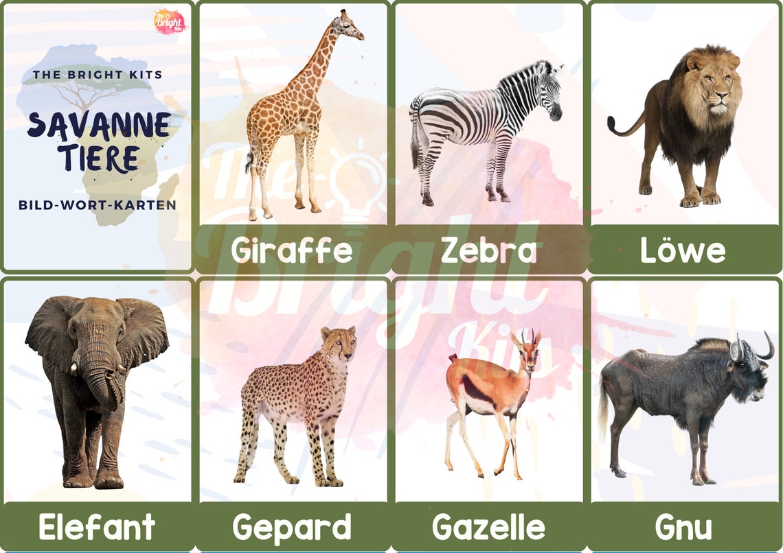 Animal Printable Picture-word Cards Set in German (48 Cards) | Animal ...