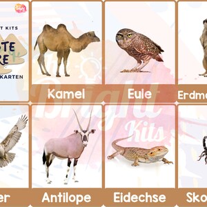 Animal Printable Picture-word Cards Set in German (48 Cards) | Animal ...