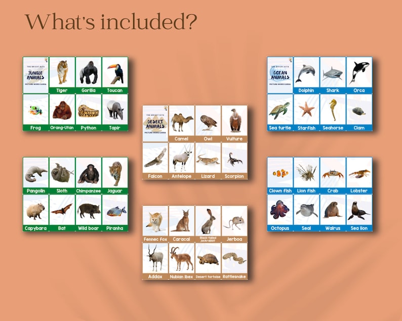 Animal Printable Picture-word Cards Set (105 Cards) | Animal Habitat ...