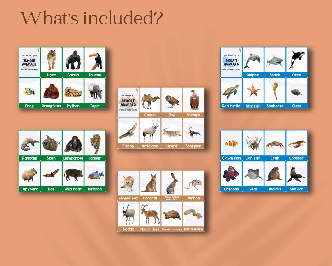 Animal Printable Picture-word Cards Set (105 Cards) | Animal Habitat ...