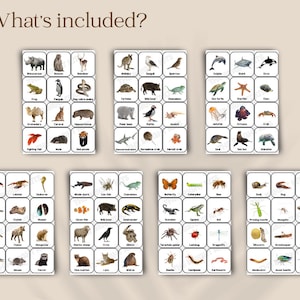 Animals and Insects Real Picture Cards Set (156 Cards) | Autism Visual ...