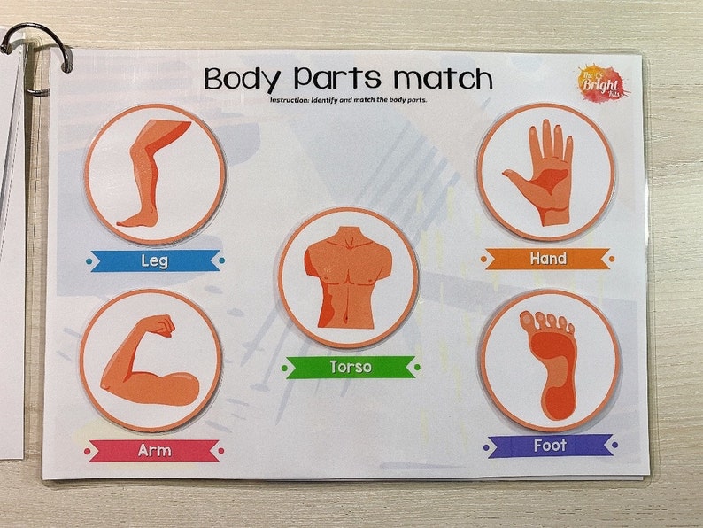 Body Parts Recognition A4 Printable Busy Booklet | Human Body | All ...