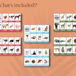 Animal Printable Picture-word Cards Set (105 Cards) | Animal Habitat ...
