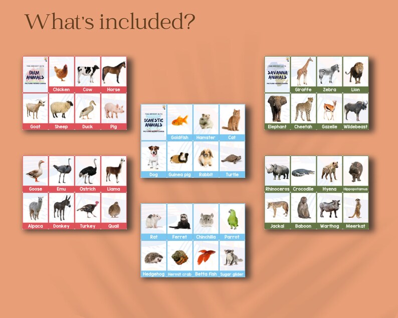Animal Printable Picture-word Cards Set (105 Cards) | Animal Habitat ...