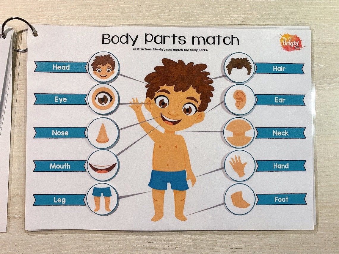 Body Parts Recognition A4 Printable Busy Booklet | Human Body | All ...
