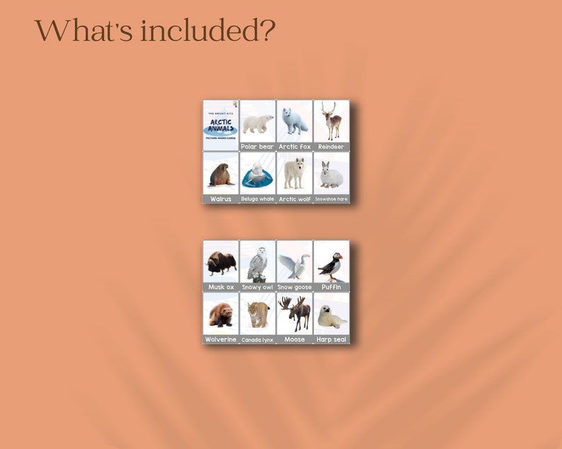 Animal Printable Picture-word Cards Set (105 Cards) | Animal Habitat ...