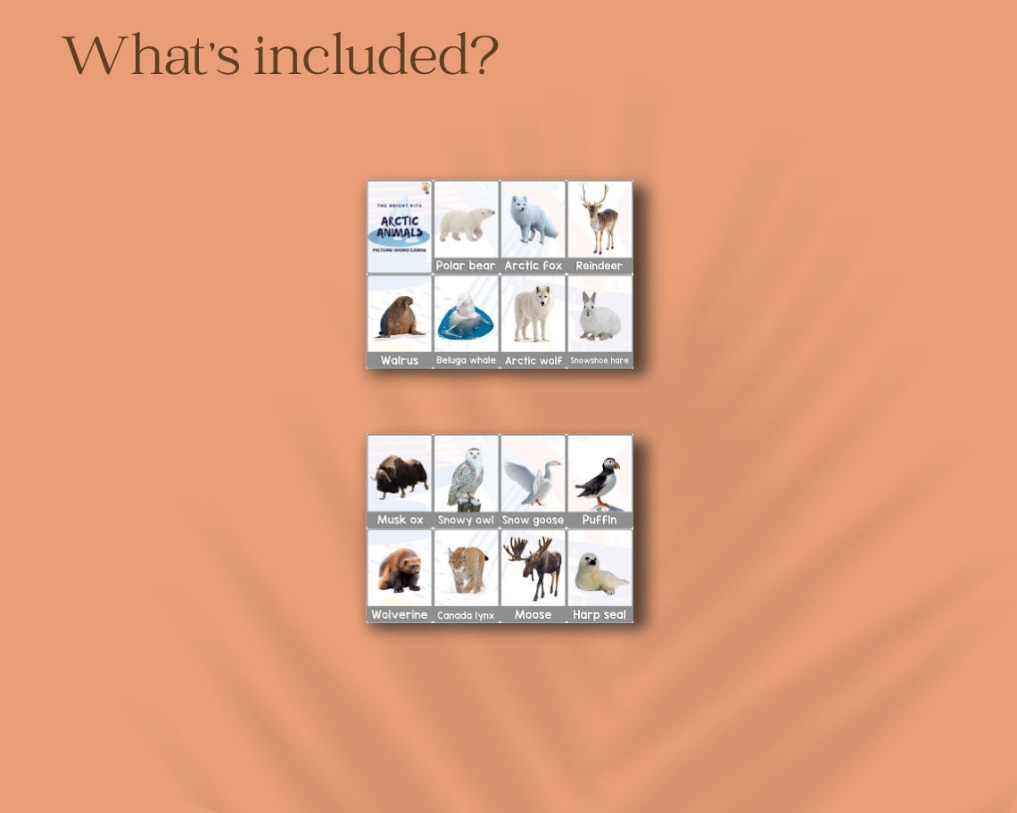 Animal Printable Picture-word Cards Set (105 Cards) | Animal Habitat ...