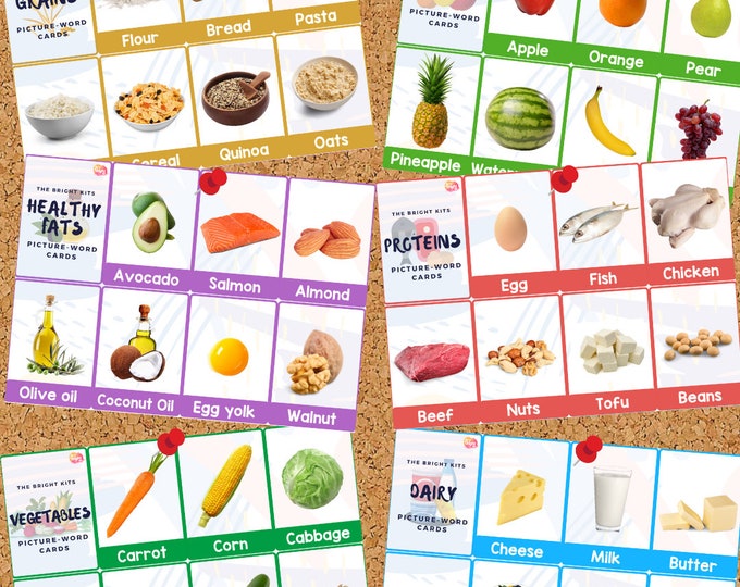 Food Groups Blackline Masters Montessori Science Printable Montessori ...