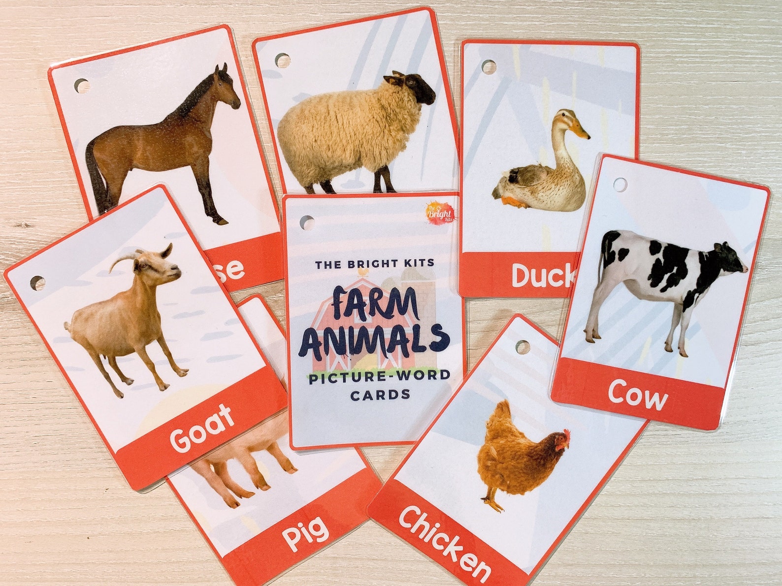 Animal Printable Picture-word Cards Set 48 Cards Animal Habitat ...