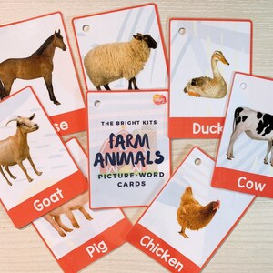 Animal Printable Picture-word Cards Set (48 Cards) | Animal Habitat ...