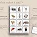 Animals and Insects Real Picture Cards Set (156 Cards) | Autism Visual ...