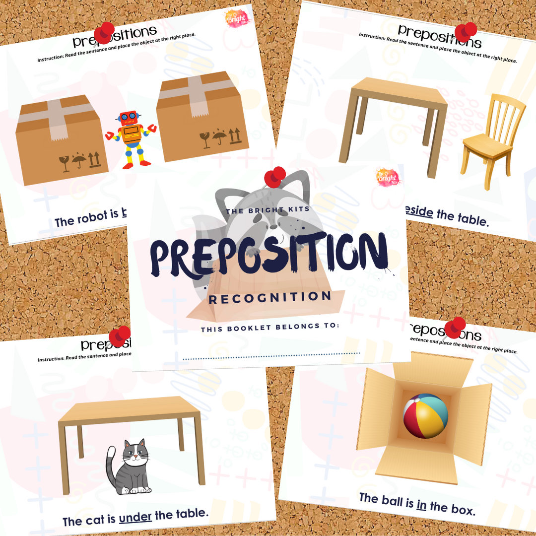 Preposition Recognition A5 Booklet | Positional Words | Placement ...