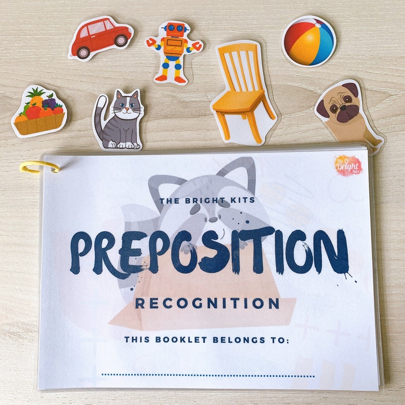 Preposition Recognition A5 Booklet | Positional Words | Placement ...